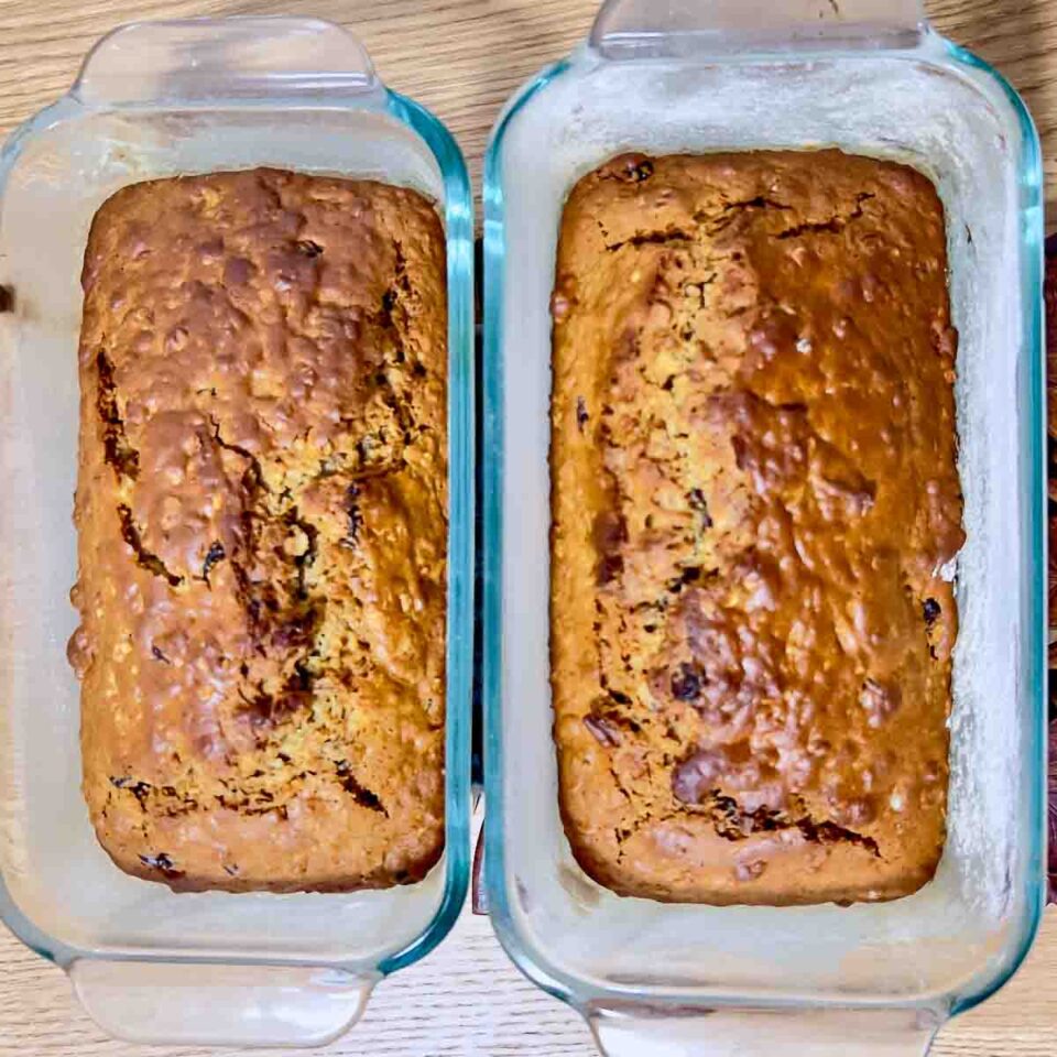 Easy Cranberry Oatmeal Quick Bread (Sweet And Nutty) - Hello Savory Kitchen